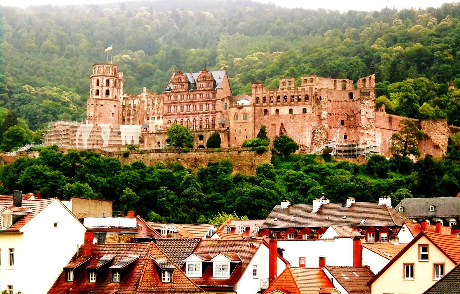 Cruise Diary Part 8 - TOP 5 Places of South-West Germany
