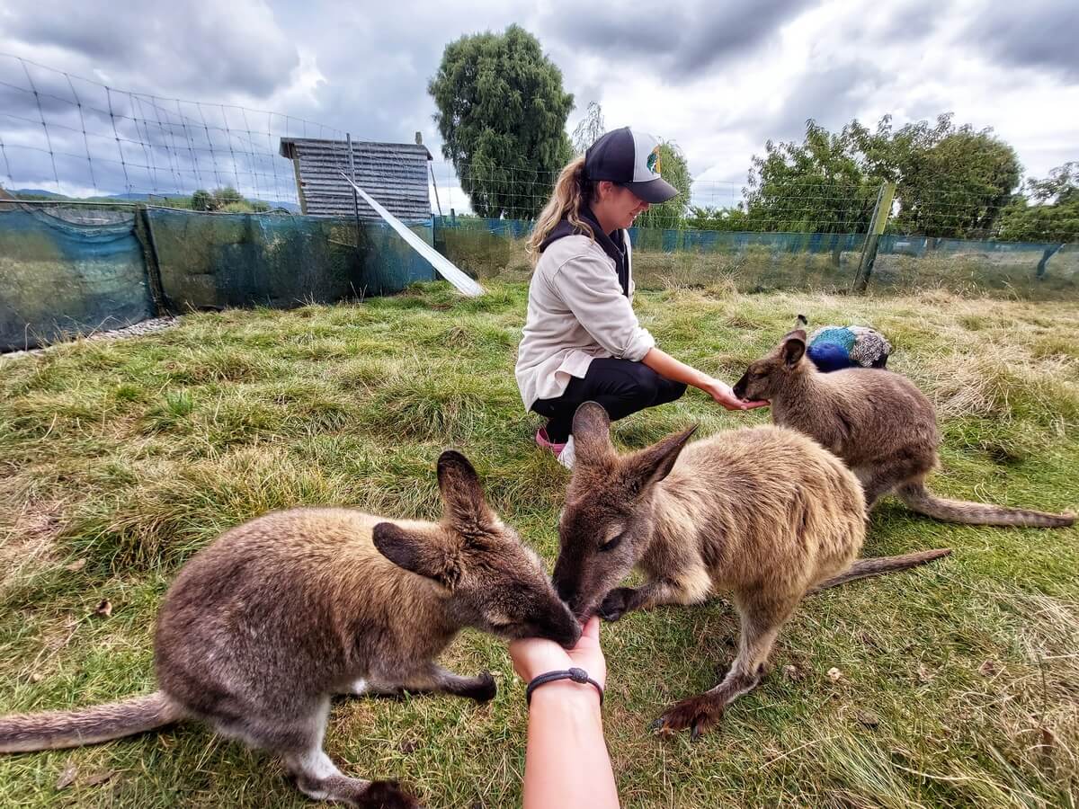 Off the beaten places of South Island of New Zealand - MiliMundo